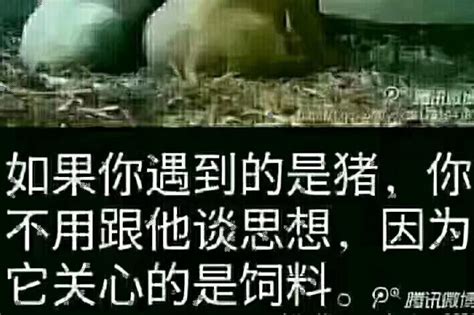 区块链创投媒体，诚邀加入我们的数字货币c2c平台团队