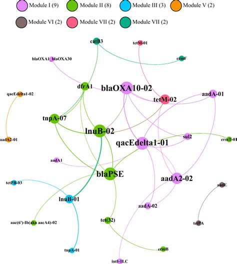 Network Analysis Showing The Co Occurrence Patterns Among Arg And Mge Download Scientific