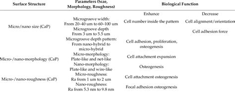 Effects Of Structural Size Morphology And Roughness Surface Of Cap