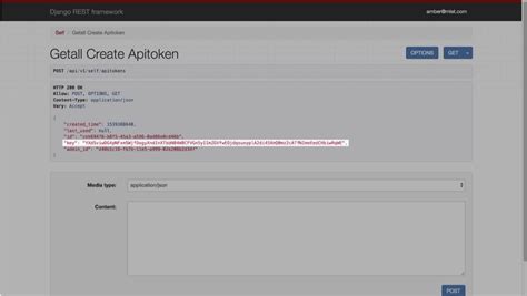 Create Mist Api Token Mist Rest Api Class