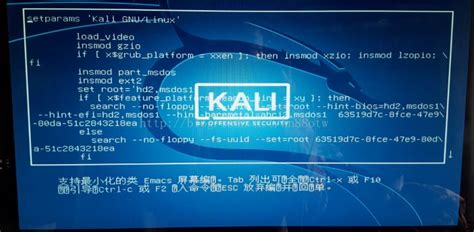 vmware 安装 kali linux 系统到u盘 启动错误（initramfs ） 修复方法 狂奔的狼 博客园