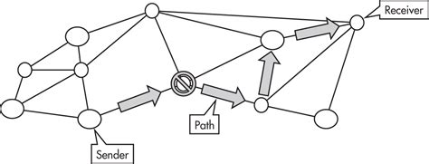 Ap Computer Science Principles Question 344 Answer And Explanation
