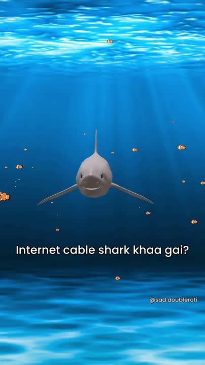 Bilal Sethi On Linkedin Accused Speaks The Truth Your Honour 👨‍⚖️ 🤭