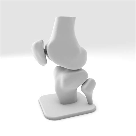 Modelo de impresión 3D de rodilla MRI DICOM