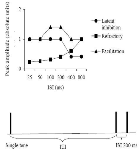 Predicted Effects On Erp Mean Amplitudes Predicted Effects Of The Download Scientific Diagram