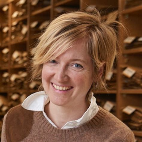 Alessia Guggisberg Curator Eth Zürich Linkedin