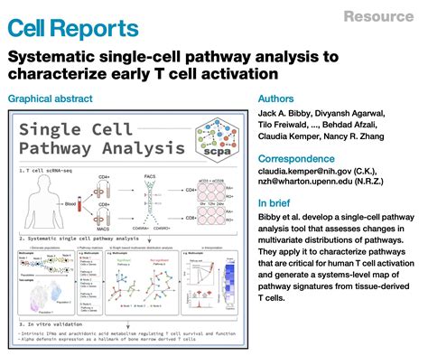Kemper Complement Lab On Twitter Hi All We Re Happy To Share Our Latest Paper Just Published