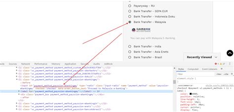 how to display on woocommerce checkout page payment gate info fox