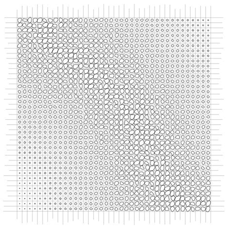 Fields 05 — Variable Projects Projects Generative Variables