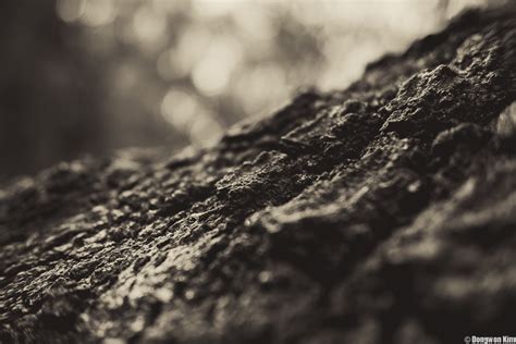 감성필름빈티지 이모티픽 라이트룸 프리셋 열세번째 시리즈