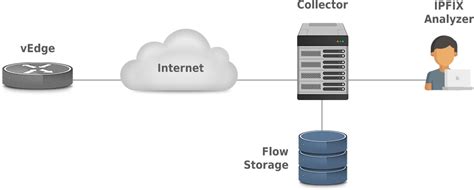 Sd Wan And Netflow Noction