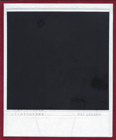 1980s Vintage Nude Polaroid Photo~sultry Black Ebony Pinup Working