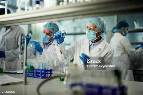 실험실에서 연구를 수행하는 과학자 팀 실험실에 대한 스톡 사진 및 기타 이미지 실험실 과학 실험 약 Istock