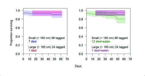 Kaplan Meier Survivorship Curves By Mortality Assumption Ingested Tags