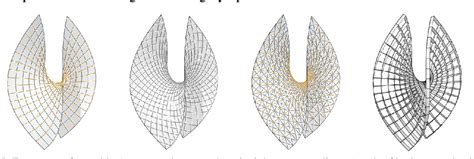 Figure 5 From Design And Construction Of The Asymptotic Pavilion