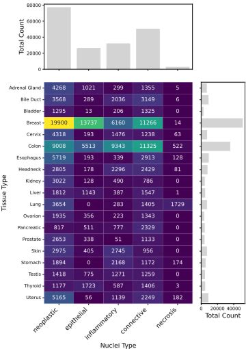 [论文审查] Cell Nuclei Detection And Classification In Whole Slide Images