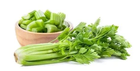 失眠多半是肝火旺建议增加4种菜降肝火助睡眠一觉到天亮