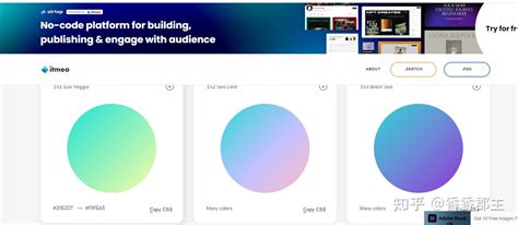It学习网站 知乎