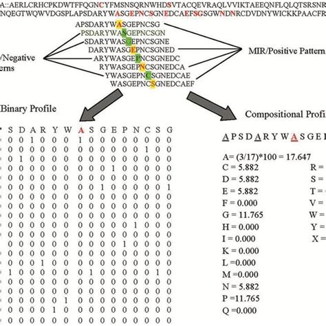 Schematic Representation Of Algorithm Used To Generate Patterns From A