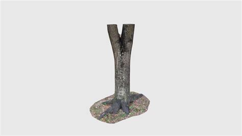 3d Tree Scan Download Free 3d Model By Paul Cristian Muresan Ninja