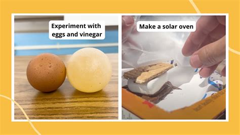 6th Grade Science Activity 6th Grade Science Daily Practice Workbook