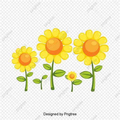 รูปการ์ตูนมือวาดองค์ประกอบดอกไม้ดอกทานตะวัน Png ทานตะวัน การ์ตูน ง่ายภาพ Png สำหรับการดาวน์