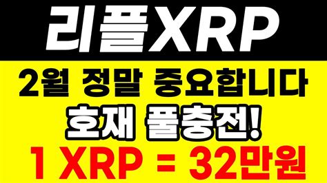 리플 전망 2월이 정말 중요한 이유 업비트시황 코인시황 급등코인추천 리플대응 Youtube