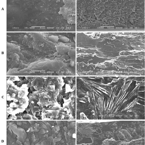 Sem Micrographs Of Surface And Cross Section Of Cmcpvaaa And Modified