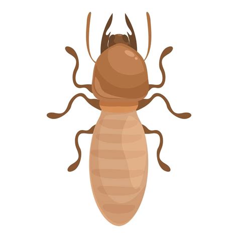 Termite Insect Posing With Big Head And Tiny Waist 47060864 Vector Art At Vecteezy