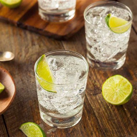 Gin And Tonic Recipe Bevvy