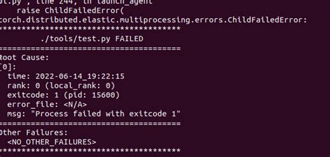 Visualization · Issue 18 · Fundamentalvisionbevformer · Github