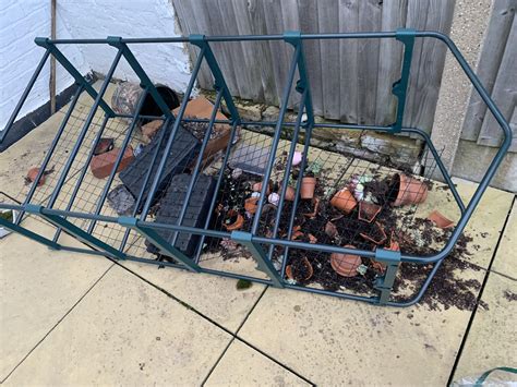 Tragedy R Succulents