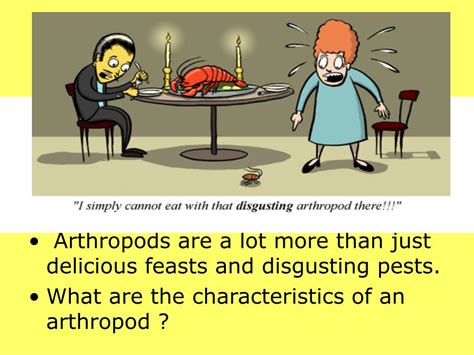 Ppt Chapter 36 Arthropods And Chapter 37 Insects Powerpoint Presentation Id 658477