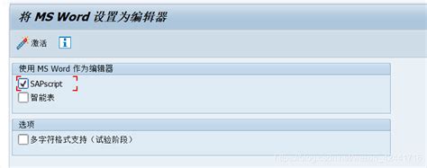 sap打开smartforms文本编辑器是word怎么取消？ 用sap会自动弹出来个word怎么解决 csdn博客