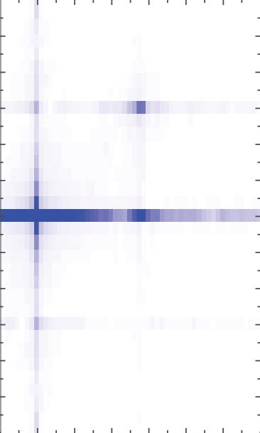 The 2d Fast Fourier Transform Spectrum Of The Transient Reflectivity