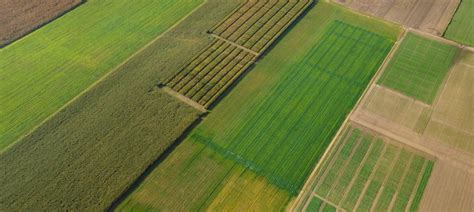 A New Look At Agronomic Field Trials Agmatix