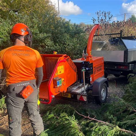 The Tree Surgery Company The Tree Surgery Company Ltd