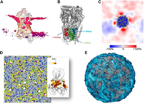 Frontiers A Brief History Of Visualizing Membrane Systems In