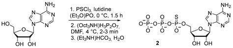 Synthesis And Properties Of α Phosphate Modified Nucleoside Triphosphates