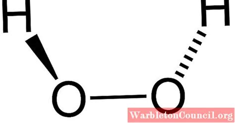 セロビオース：特徴、構造、機能 理科 2025