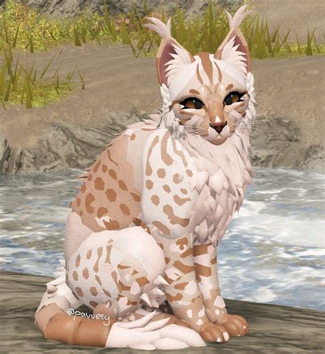 Wcue Non Cat Morphs