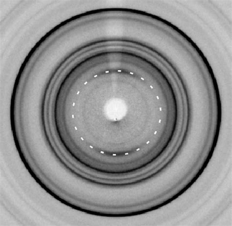 The 2d Diffraction Pattern Of The N Cnts Grown Inside The Alumina Download Scientific Diagram