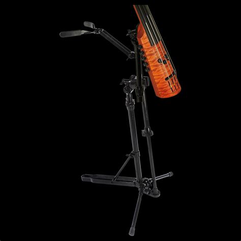 Eu Electric Upright Bass The Ultimate By Ned Steinberger Ns Design
