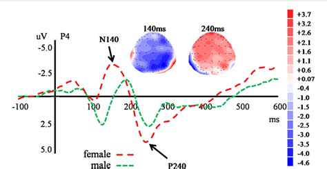 Figure 1 From Gender Differences In Visual Reflexive Attention Shifting