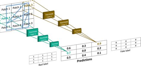 Patchgan The Discriminator Of The 3d Cyclegan Download Scientific