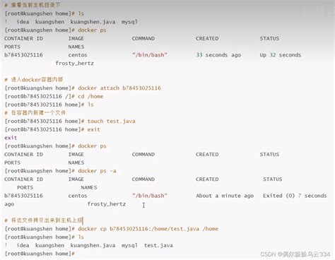 docker镜像 第二天 csdn博客