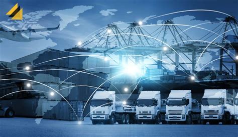 What Does “in Transit” Mean Shein Tracking Guide Mailbox Master