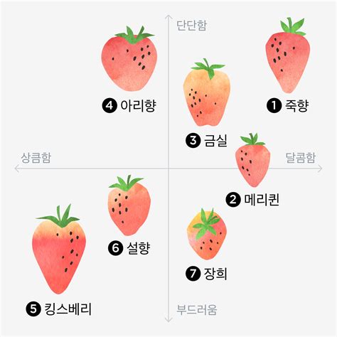 [과일 소믈리에] 올프레쉬 프리미엄 Gap 금실 딸기 과일 선물 세트 小 [410g 당도 12brix 이상 ] 집들이 선물 부모님 선물 Ssg Com