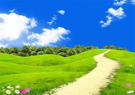 Scenery Summer Fields Sky Camomiles Trail Nature Wallpapers HD