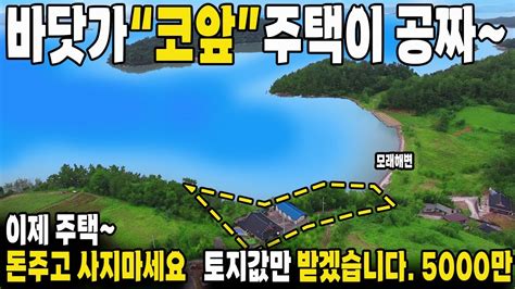 [속보] 바다 코앞 명장이 건축한 주택이 몽땅~ 공짜입니다 바닷가 A급 빈집~ 전원생활 추천~ 바다 전망~ 초헐값~ 땅값만 받겠습니다 Youtube